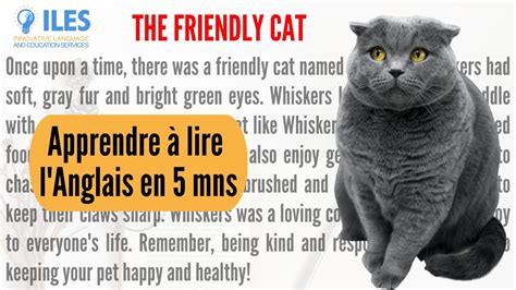 Lecture En Anglais Le Chat Sympathique Whiskers Texte Traduit En