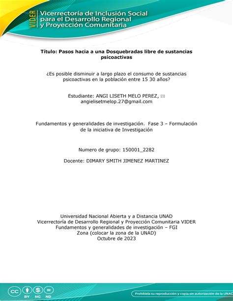 Fase 3 Formulación de la iniciativa de Investigación Angie MELO