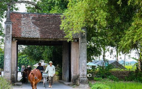An Excursion To Duong Lam Ancient Village Vietnam Escape Tours