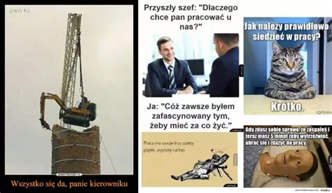 Oto najlepsze memy o pracy czyli śmiech na etacie Sprawdź co tym
