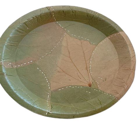 8 Inch Areca Leaf Buffet Plate At 10 Piece Pakku Mattai Plate In