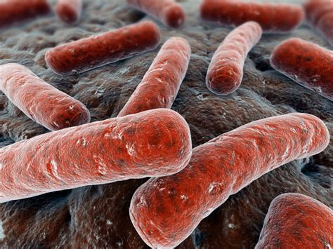 ALEA IACTA EST Historia de los tratamientos para el Lupus 1ª parte