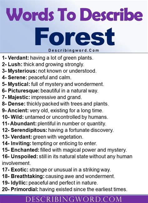 Adjectives For Forest Words To Describe A Forest DescribingWord