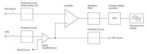 Basics Of Neural Oscillations Emotiv