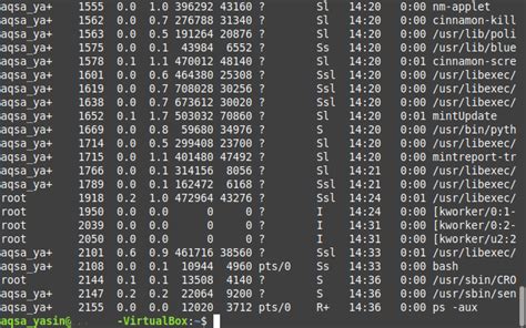 How To Check Running Processes In Linux Mint