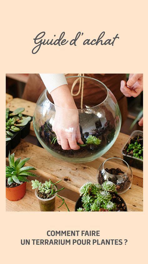 Comment Faire Un Terrarium Pour Plantes Jardiland Comment Faire