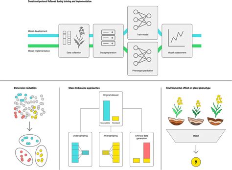 frontiers plant genotype to phenotype prediction using machine learning