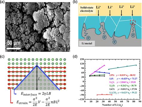 Dendritic Growth Behavior Of Li During Cycling And Its Effects A SEM