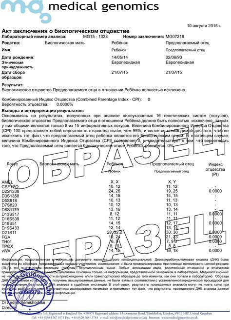 Тест Днк Фото Telegraph