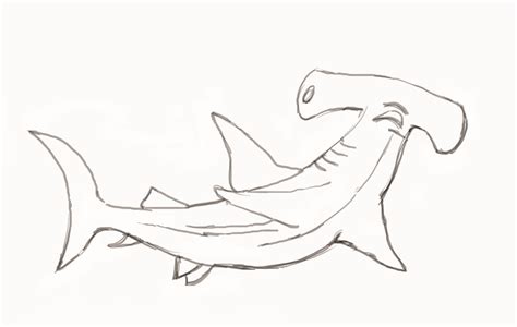 How To Draw A Hammerhead Shark Easy Drawing Tutorial