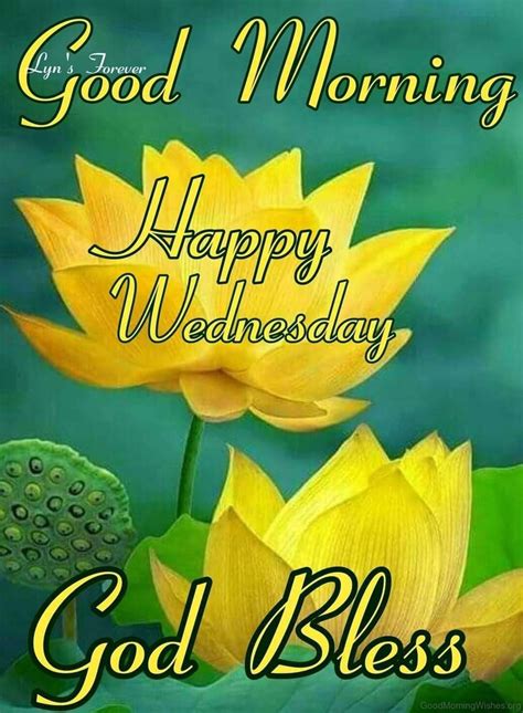40 Delightful Wednesday Good Morning Wishes Good Morning Wishes