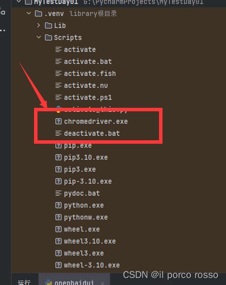 记录自己第一次使用python selenium打开谷歌浏览器 python打开谷歌页面 csdn博客