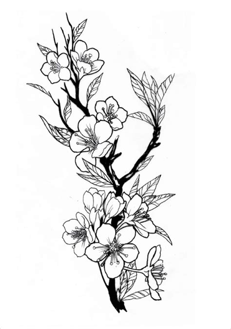 Tranh T M U Hoa Mai P Nh T