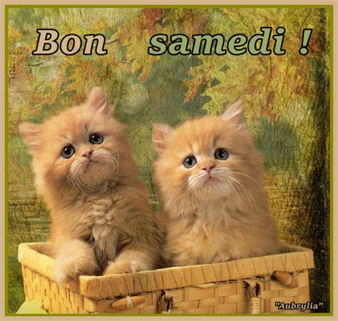 Samedi