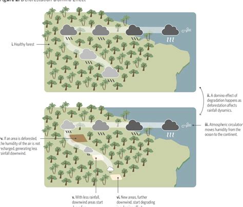 Figure 2 From THE AMAZON DOMINO EFFECT HOW DEFORESTATION CAN TRIGGER