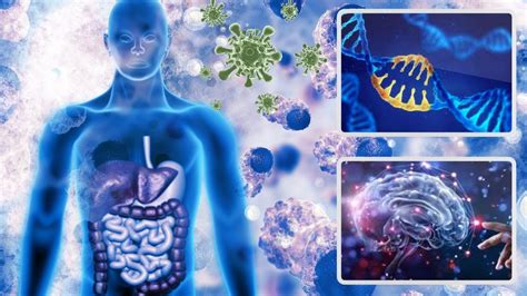 Alpha Waves Heal Damage In The Body Music Heals The Whole Body