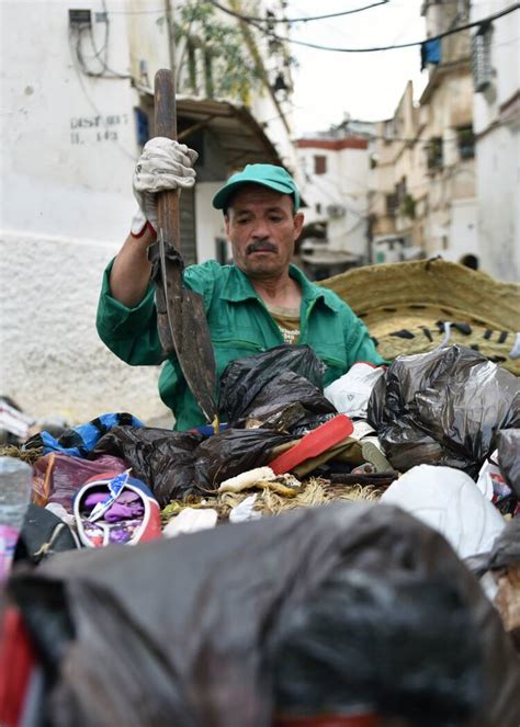 A Alger l âne camion poubelle de la Casbah depuis cinq siècles Geo fr