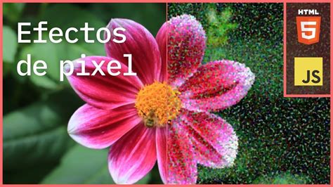 Efecto Pixel Con JavaScript Y HTML Canvas Tutorial YouTube