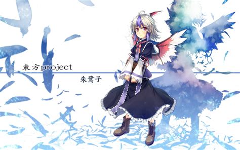 Hình nền hình minh họa Anime cánh bóng Touhou hoạt hình con gái