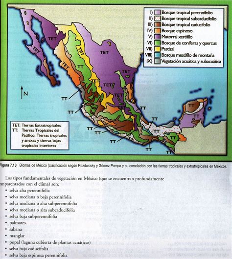 El Mapa De Los Ecosistemas De Mexico Con Nombres Diario Mapa De Mexico