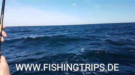 Ostsee Angeln Dick Dorsch1 YouTube
