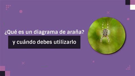 Plantillas De Mapa De Sitio Y Ejemplos Para Visualizar Tu Sitio Web