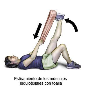 Estiramientos Isquiotibiales Ejercicios Para Los Isquiotibiales Care