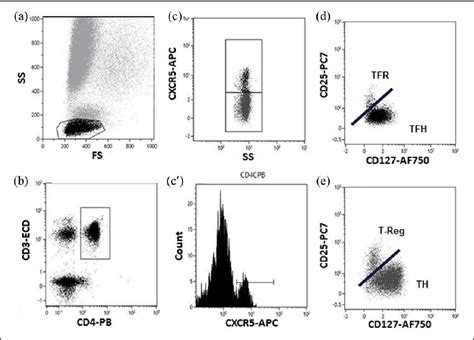 Peripheral Imbalanced TFH TFR Ratio Correlates With Intrathecal IgG