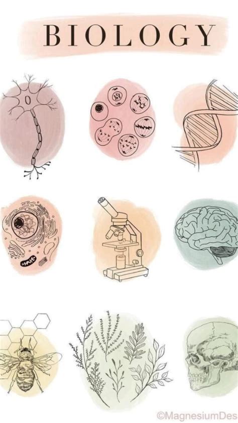 Biology Cover Page Aesthetic Deckblatt Schule Erdkunde Deckblatt