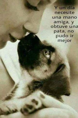 25 encantadores piropos para acompañar tu foto con tu adorable perrito