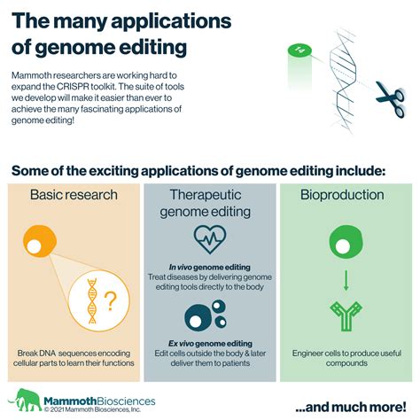 The Many Applications Of CRISPR Genome Editing Mammoth Biosciences