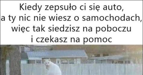 Kot kiedy zepsuło ci się auto a ty nic nie wiesz o samochodach więc