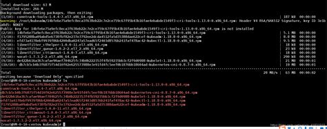 kubeadm1 18 8 离线安装包制作并安装部署 下载离线资源包kube1 18 0 tar gz csdn博客