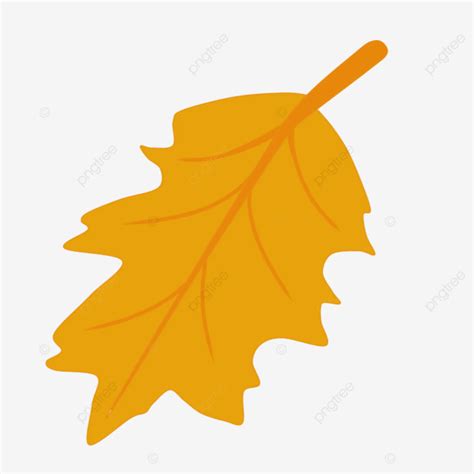 Hojas De Otoño PNG dibujos Hoja De Otoño Hoja Hojas Caídas PNG y PSD
