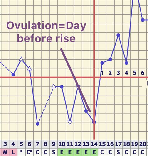 How To Detect Ovulation On Bbt Chart Chart Walls