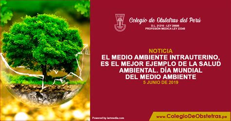El Medio Ambiente Intrauterino Es El Mejor Ejemplo De La Salud