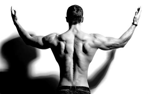 Muscler son dos à la maison Exercices avec et sans matériel