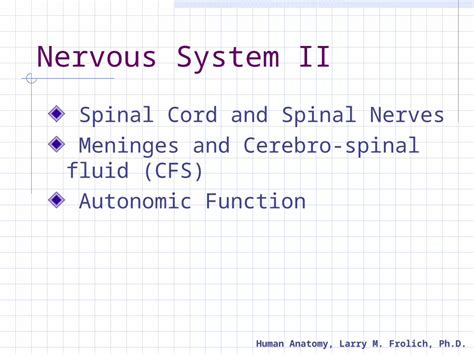 PPT Human Anatomy Larry M Frolich Ph D Nervous System II Spinal