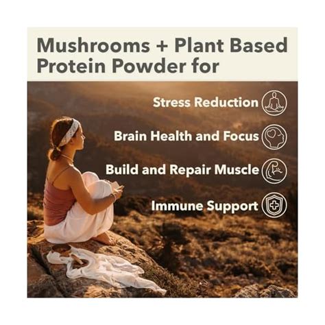 Plantfusion Mushroom Protein Powder 3 In 1 Vegan Protein Powder
