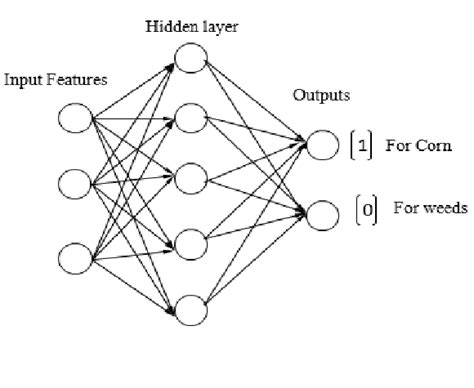 schematic topologies of the neural networks used download scientific diagram