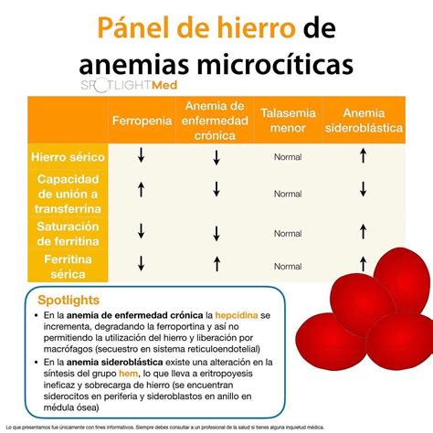 Clasificacion De Las Anemias