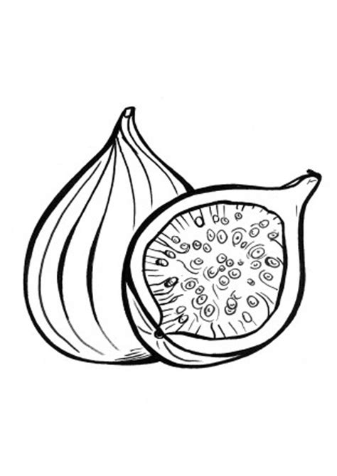 Coloring Pages Fig Coloring Page Drawing