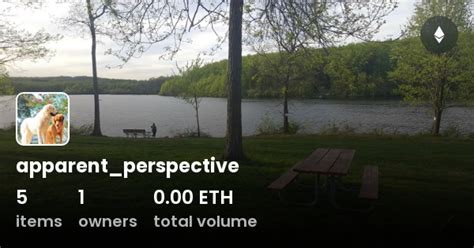 Apparent Perspective Collection Opensea