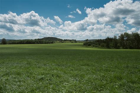 Banco de imagens panorama árvore natureza horizonte nuvem