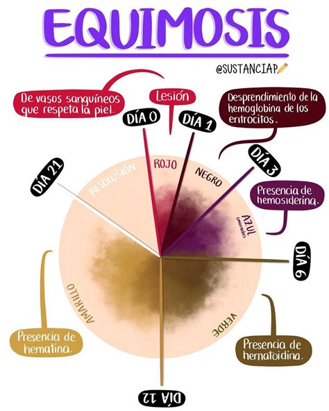 699 Me Gusta 3 Comentarios SUSTANCIA P Por Paula Parra Sustanciap
