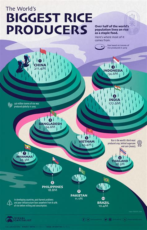 Visualizing The Worlds Biggest Rice Producers Sri Lanka