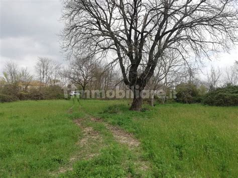 Terreno Agricolo Via Marrochelle Castel Campagnano Rif