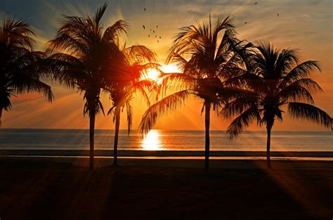 Images Gratuites paysage mer côte arbre eau la nature océan