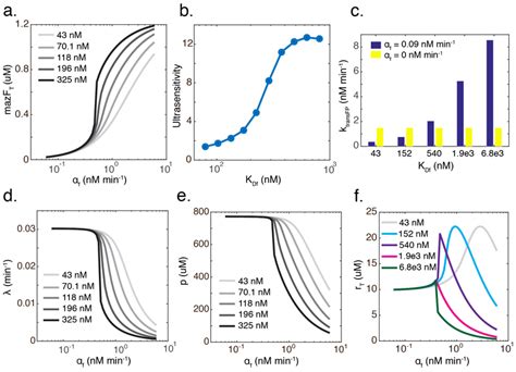 a dynamic resource allocation model demonstrates that the mazf download scientific diagram