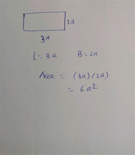 7 find the area of a rectangle whose sides are 2 a and 3 a n 8 find the area of a